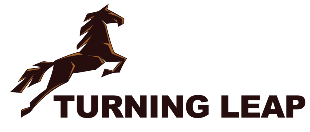 Turning Leap - Certified Professional Executive & Life Coaches